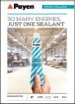 Payen | Federal-Mogul Motorparts